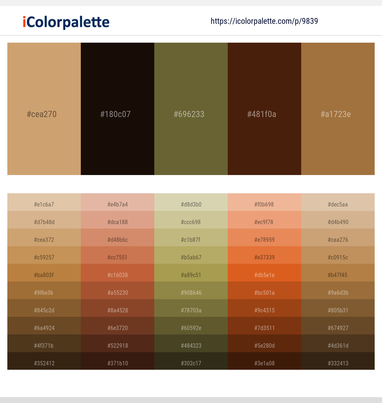 3 Latest Color Schemes with Asphalt And Bronze Color tone combinations ...