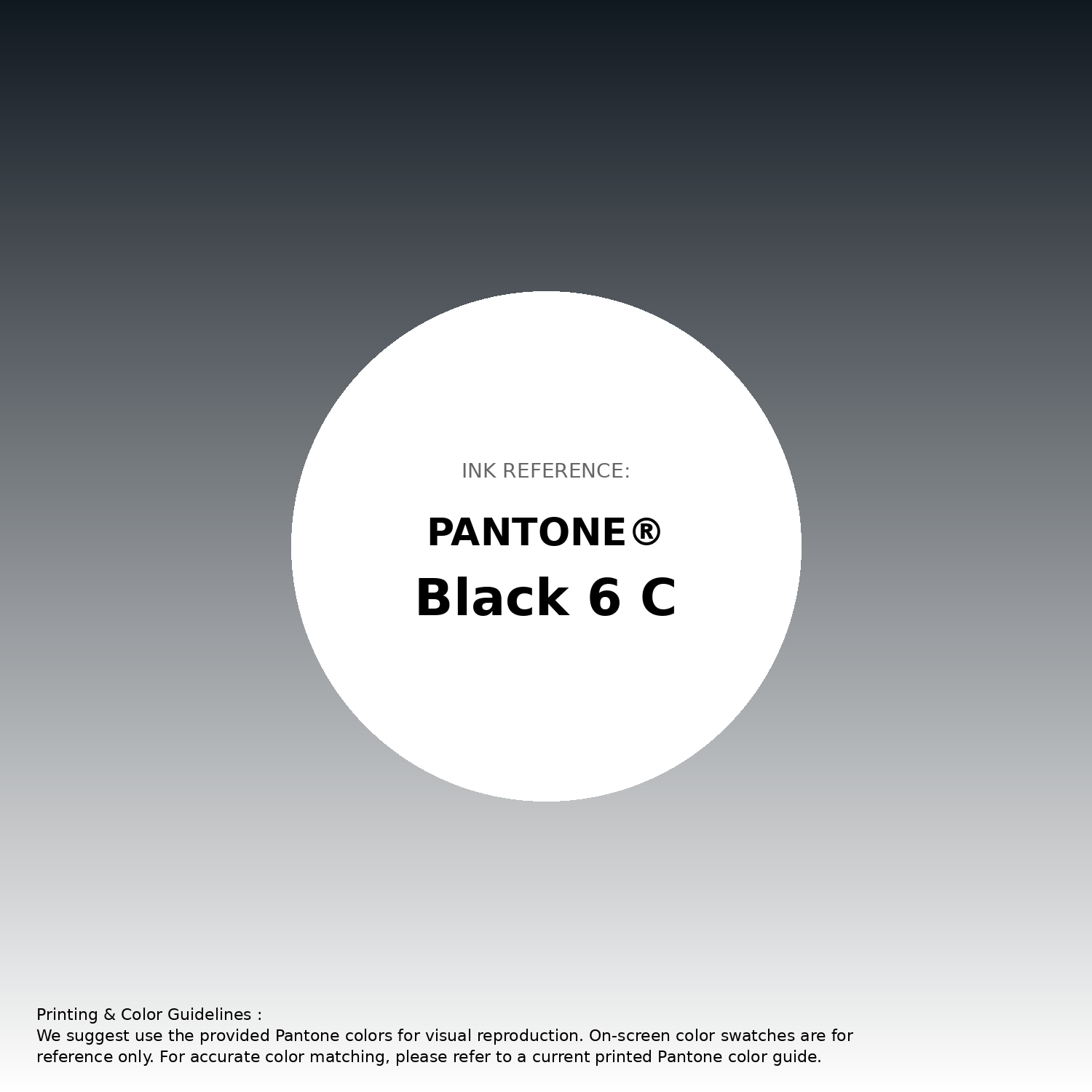 Hex Color #101820 | Pantone PANTONE BLACK 6 C | Hsl | Rgb