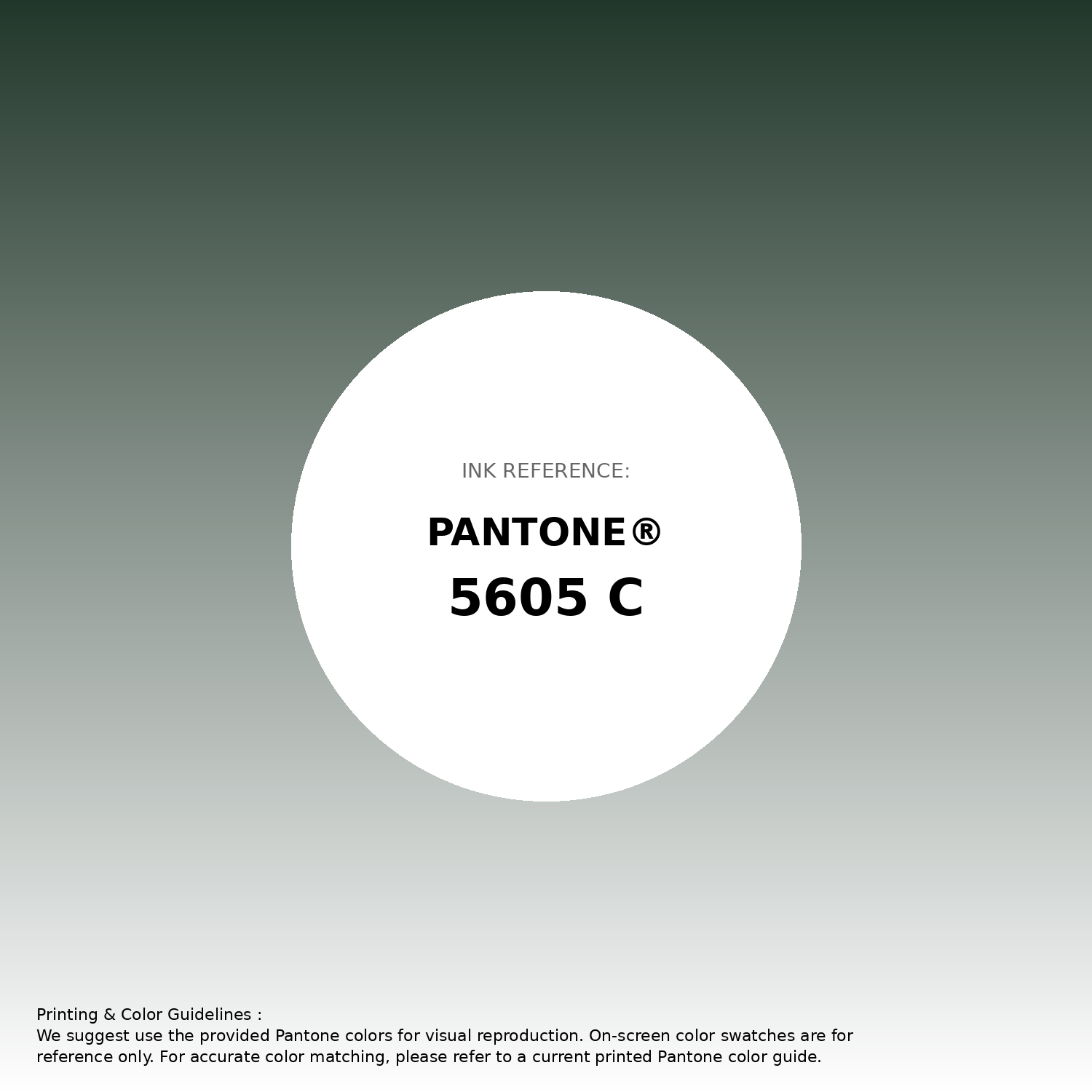 Hex Color #22372b | Printing Match PANTONE 5605 C | Color conversion ...