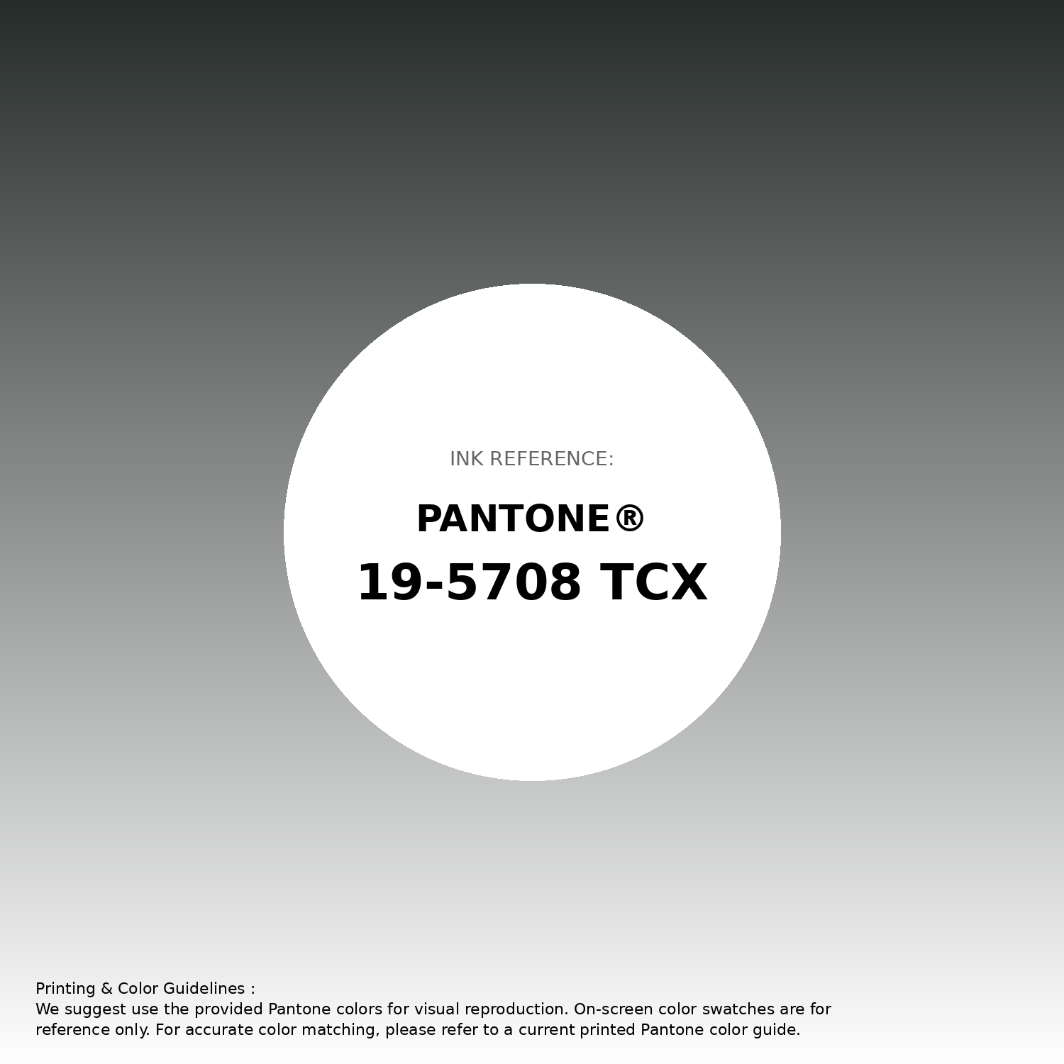 Hex Color #262c2a | Printing Match PANTONE 19-5708 TCX | Color ...