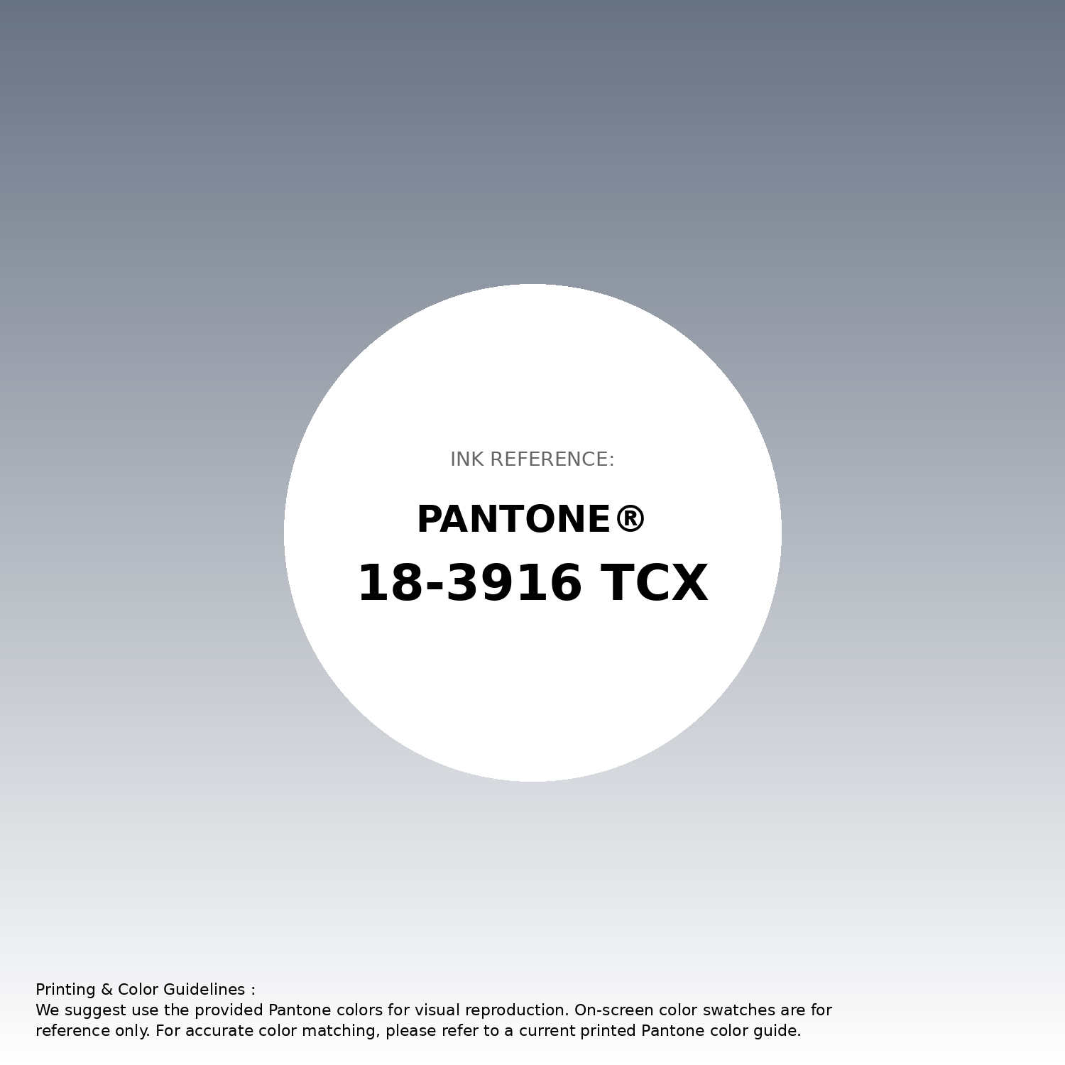 Hex Color #677283 | Pantone PANTONE 18-3916 TCX | Hsl | Rgb