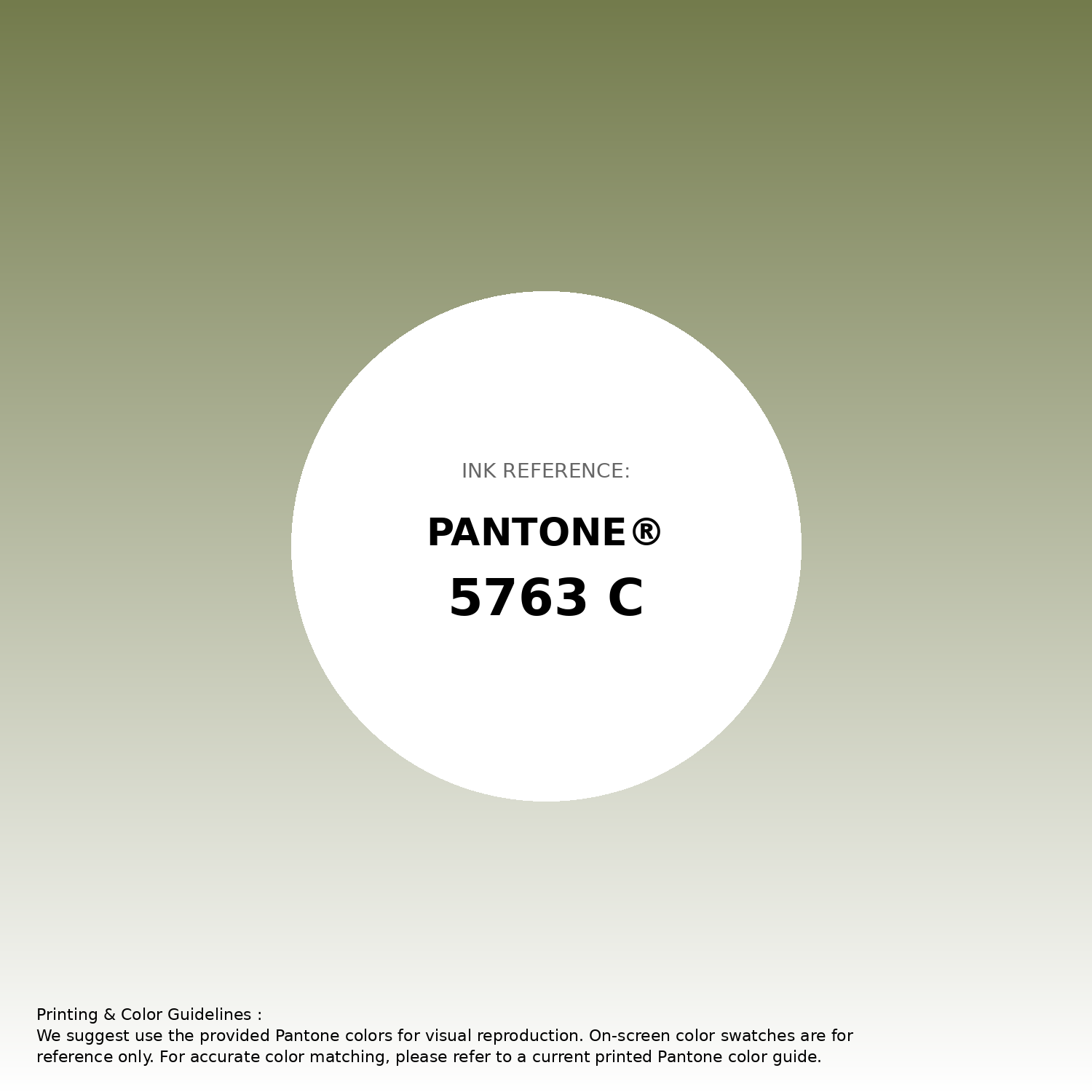 Hex Color #737b4c | Printing Match PANTONE 5763 C | Color conversion ...