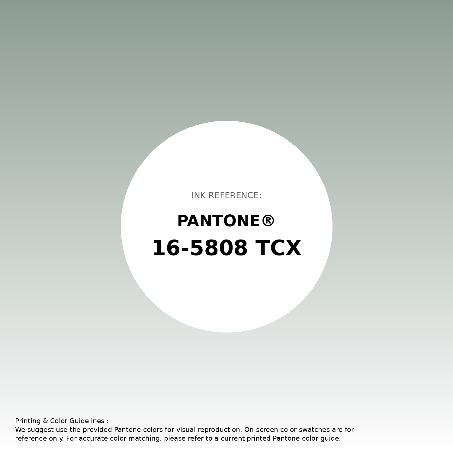 Hex Color #8c9c92 information | Hsl | Rgb | Pantone