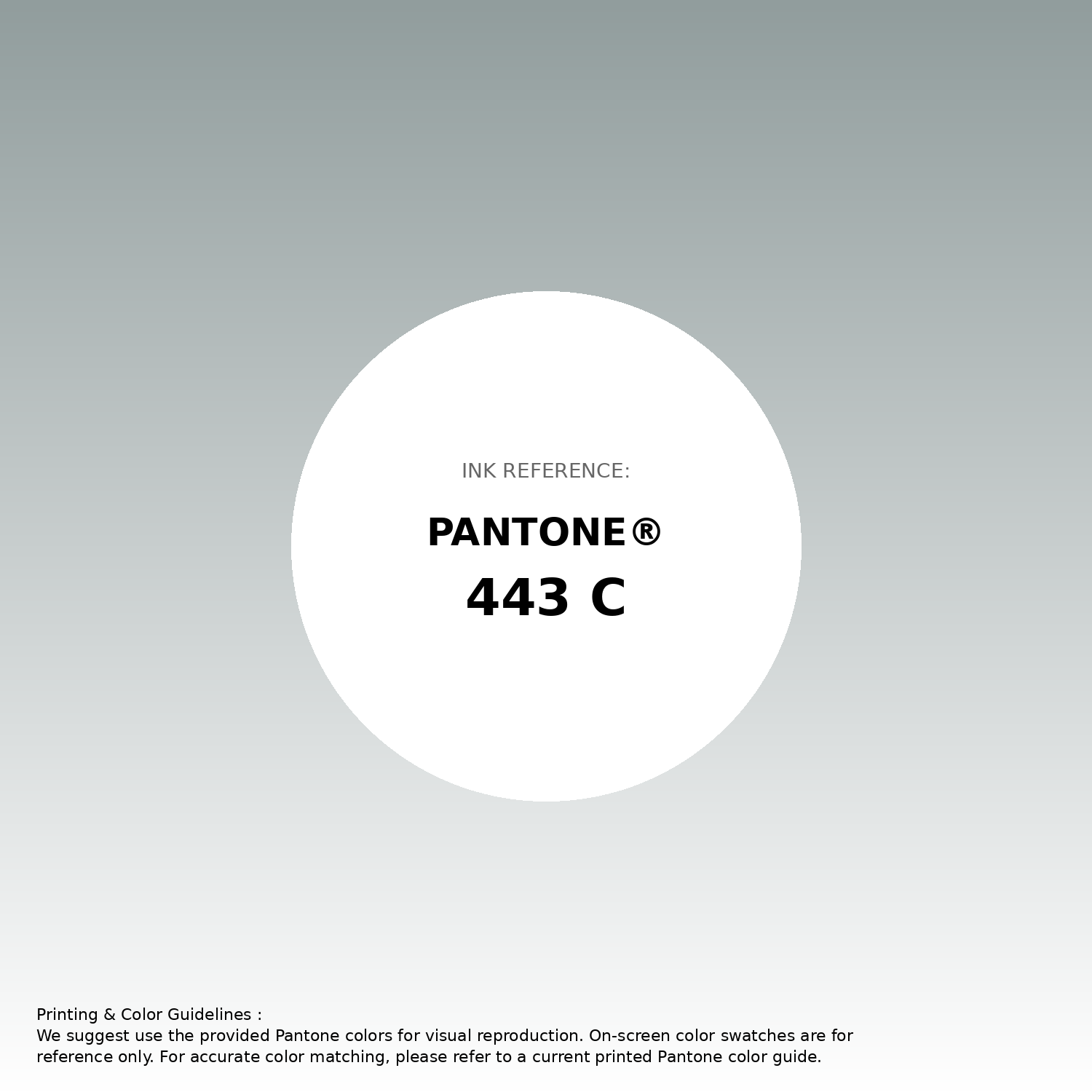 Hex Color #919d9d | Printing Match PANTONE 443 C | Color conversion ...