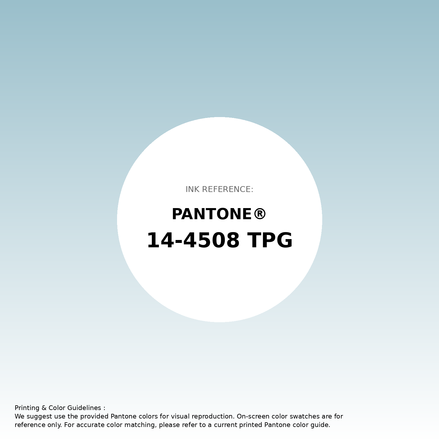 Hex Color #9abfcb information | Hsl | Rgb | Pantone