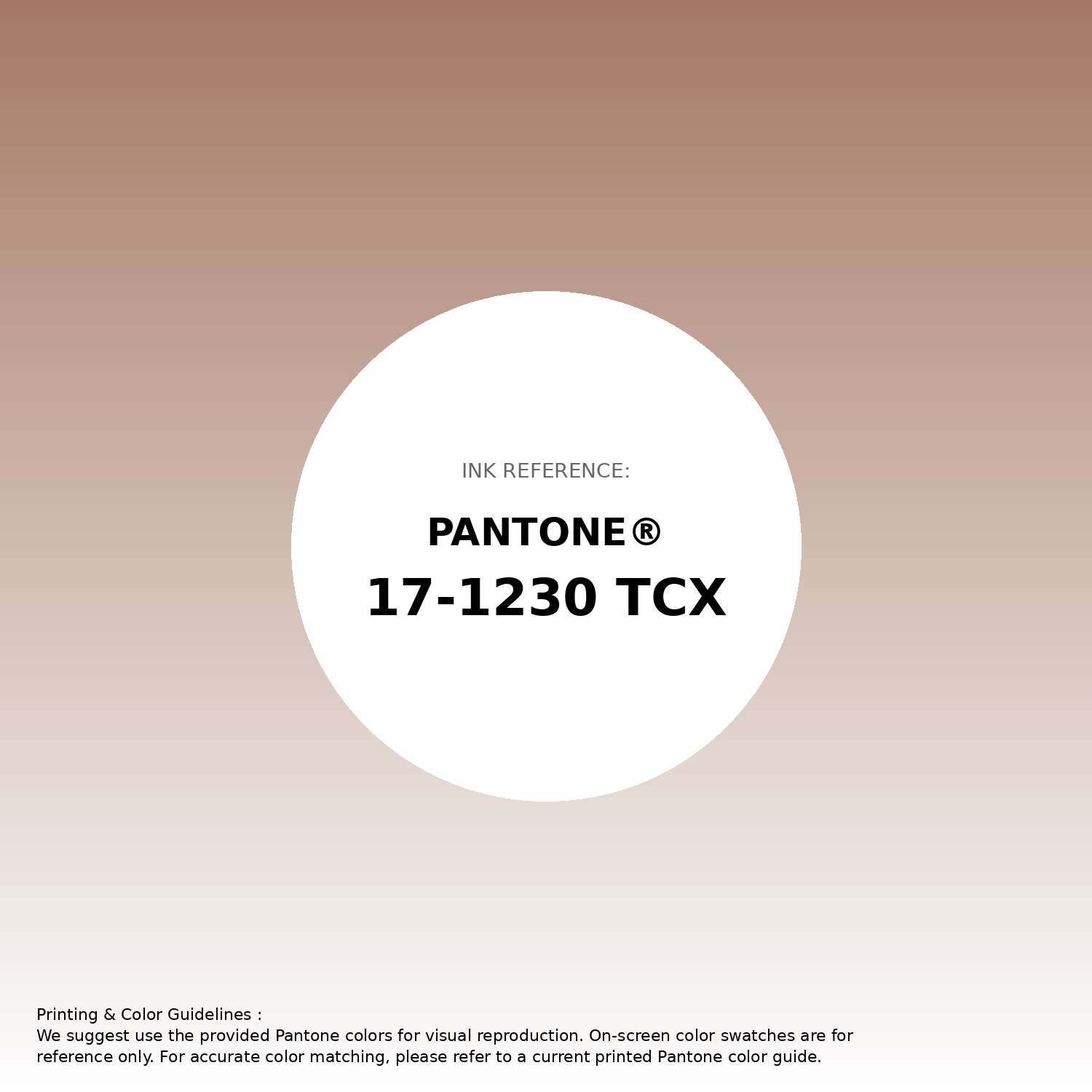 Hex Color #a47864 information | Hsl | Rgb | Pantone