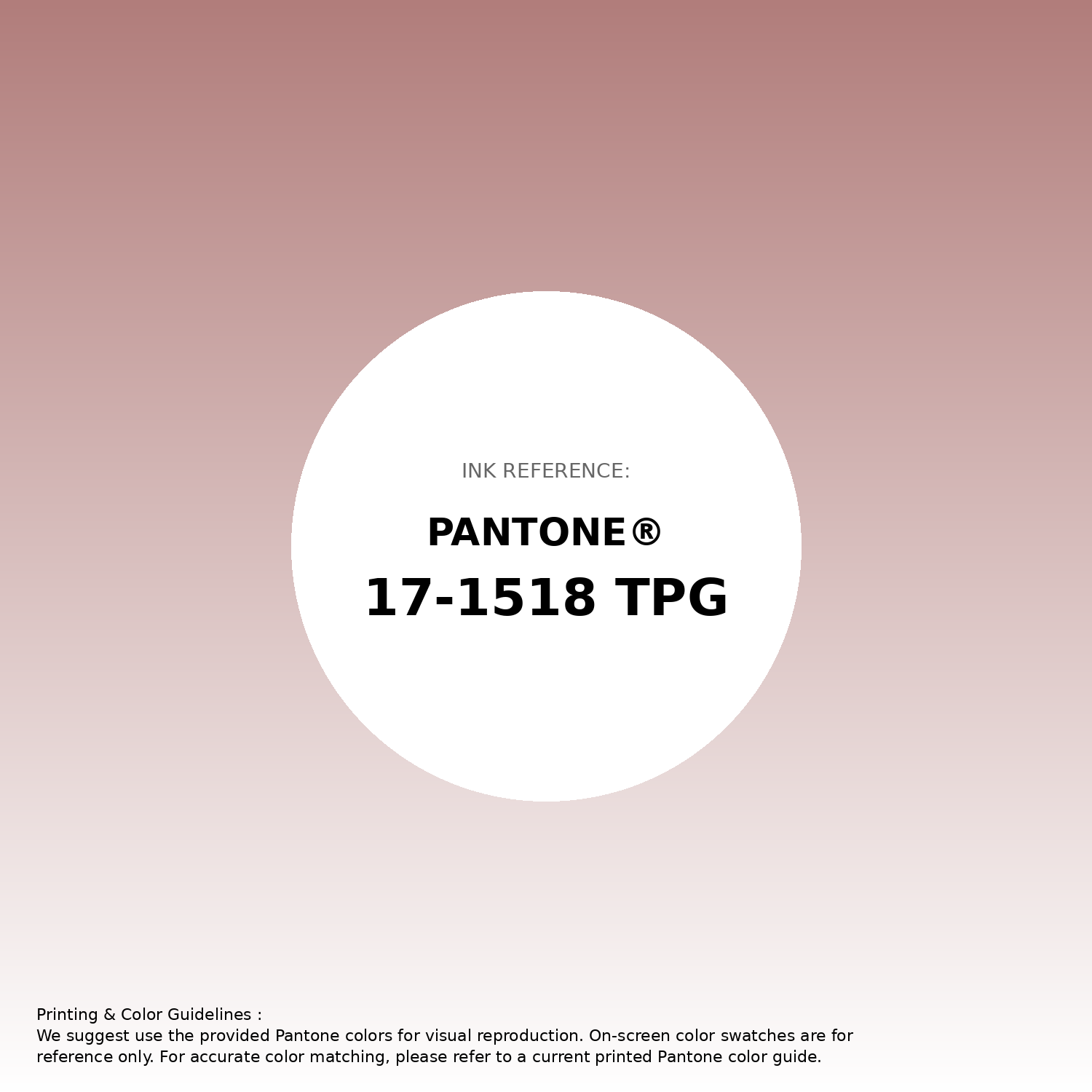 Hex Color #b17d7b information | Hsl | Rgb | Pantone