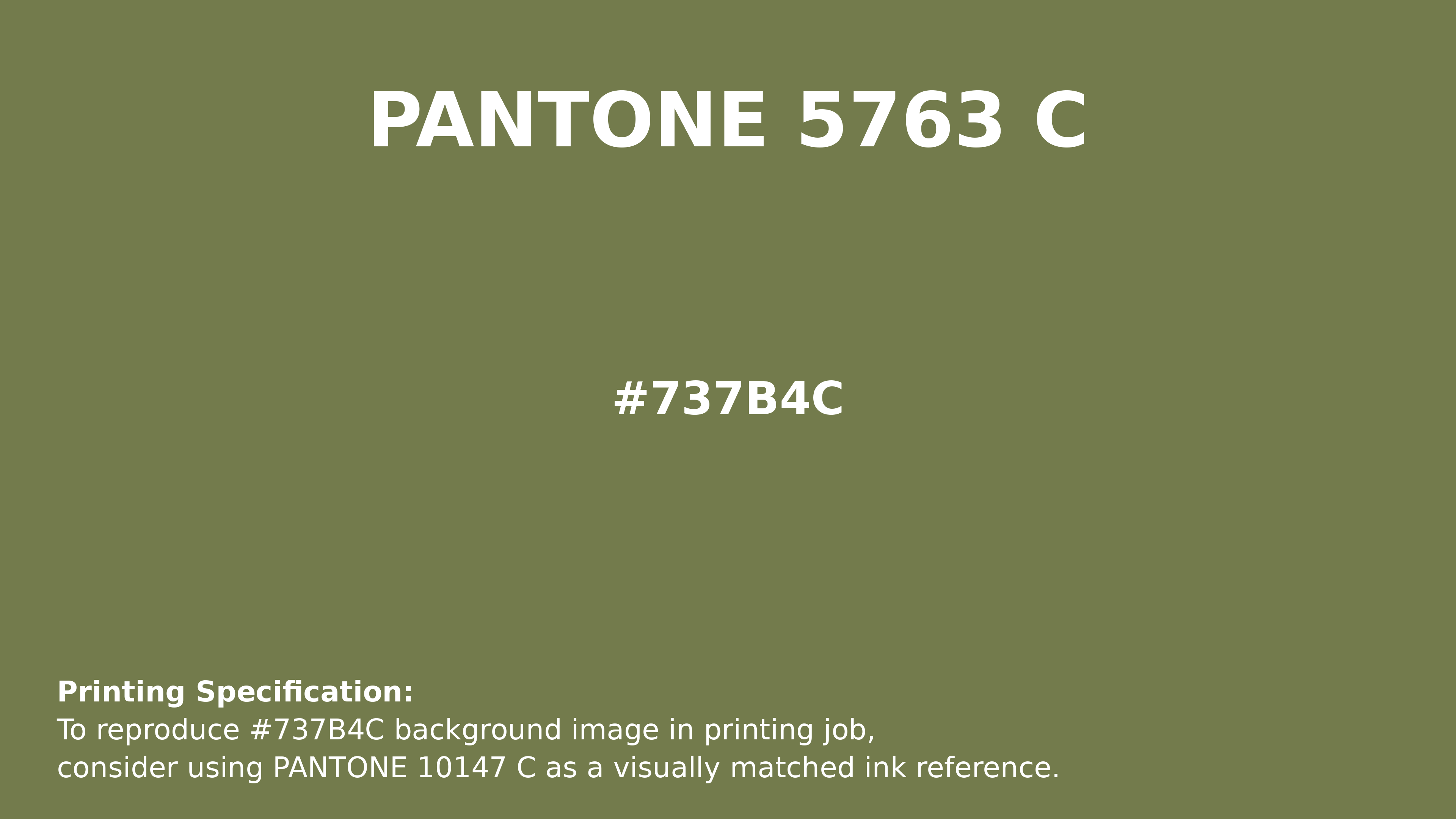 Hex Color #737b4c | Printing Match PANTONE 5763 C | Color conversion ...