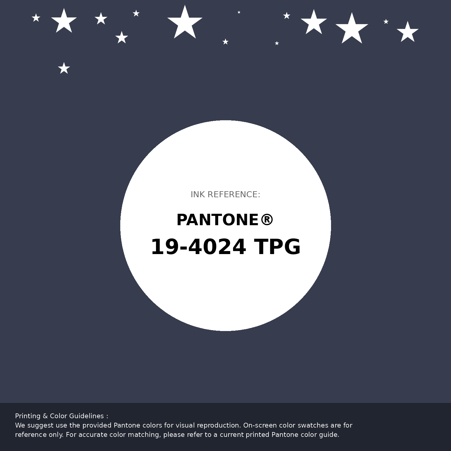 Hex Color #373d4e | Printing Match PANTONE 19-4024 TPG | Color ...