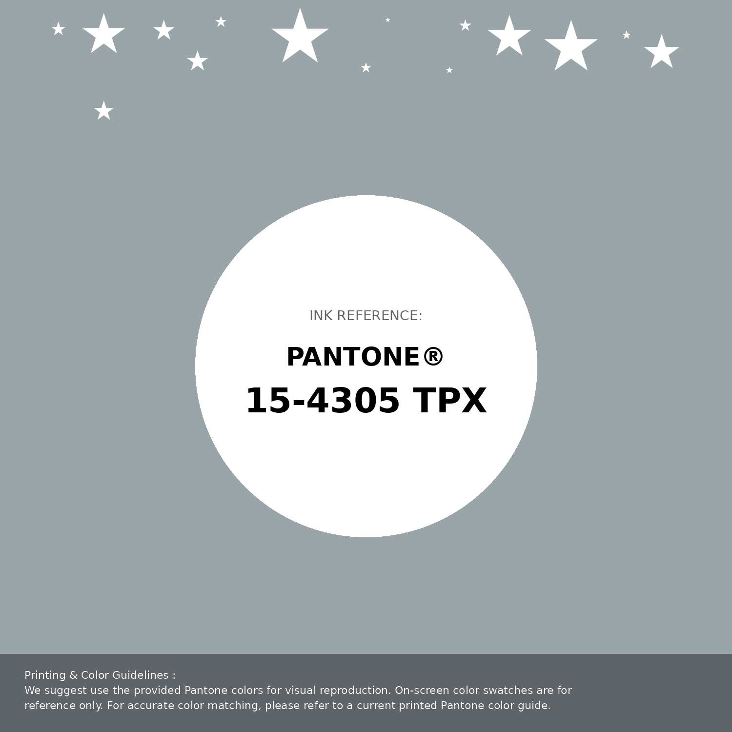 Hex Color #9aa5aa | Printing Match PANTONE 15-4305 TPX | Color ...