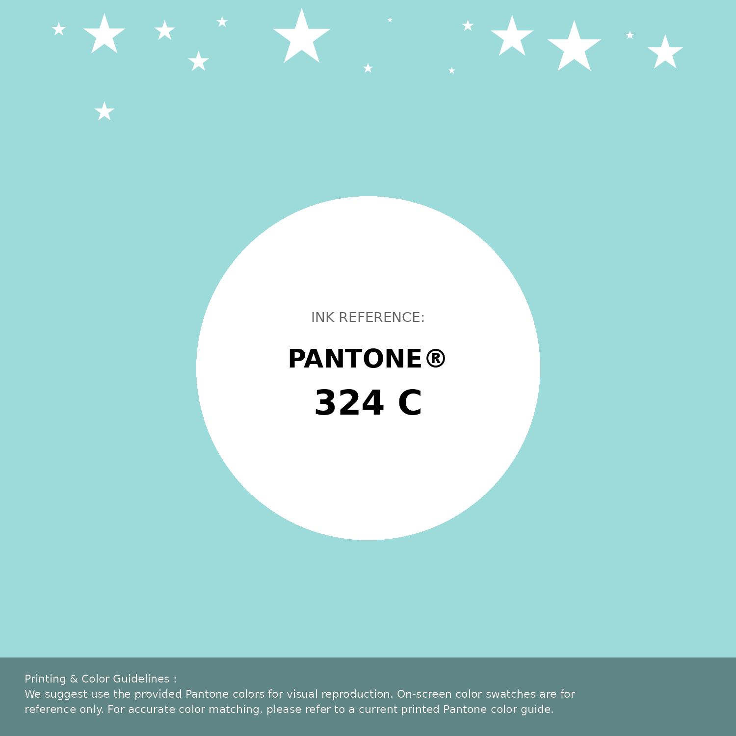 Hex Color #9cdbd9 | Printing Match PANTONE 324 C | Color conversion ...
