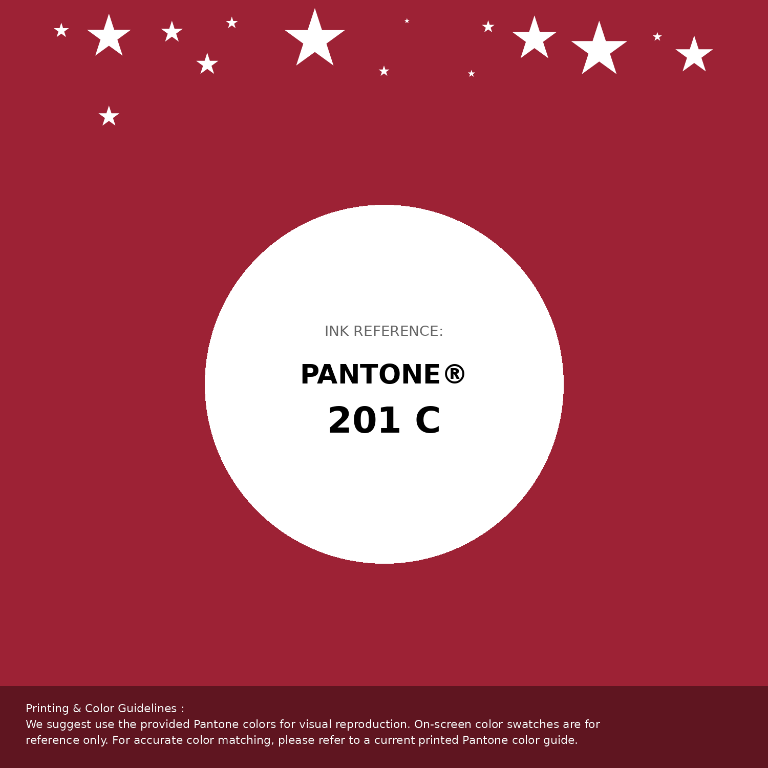 Hex Color #9d2235 | Pantone PANTONE 201 C | Hsl | Rgb
