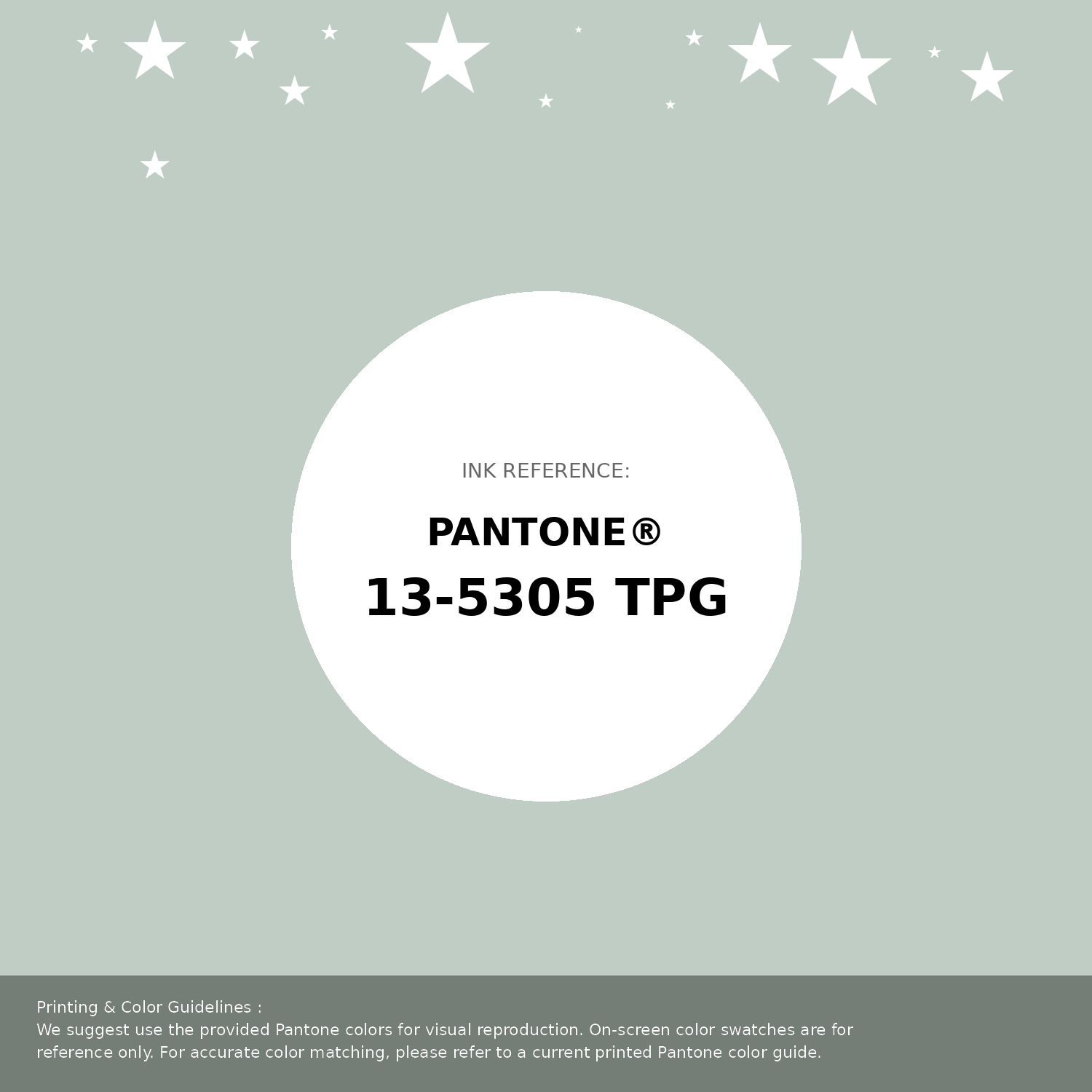 Hex Color #c0cdc4 | Printing Match PANTONE 13-5305 TPG | Color ...