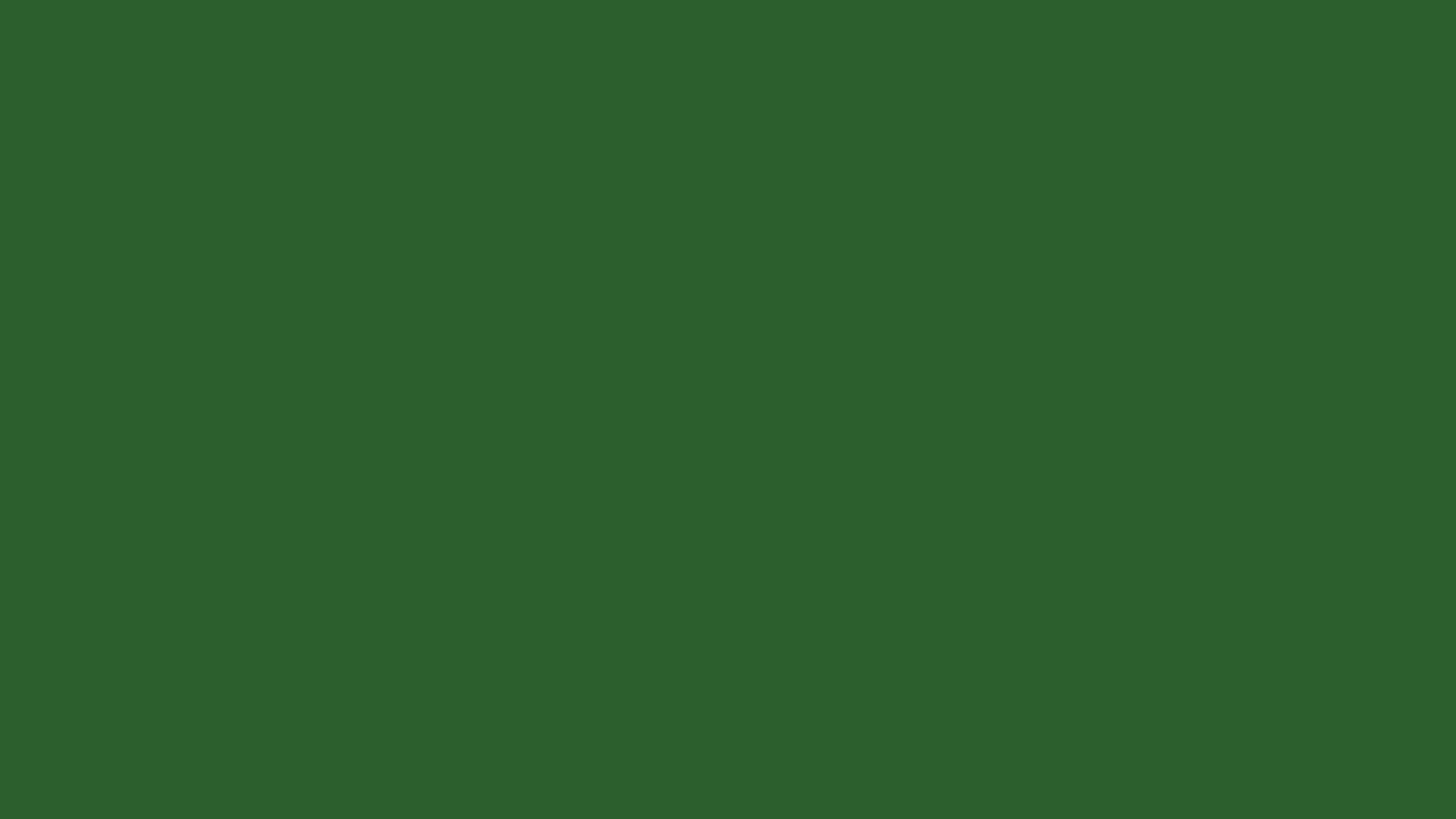 Pantone P 153-16 C Color | Hex color Code #2c5f2d information | Hsl ...