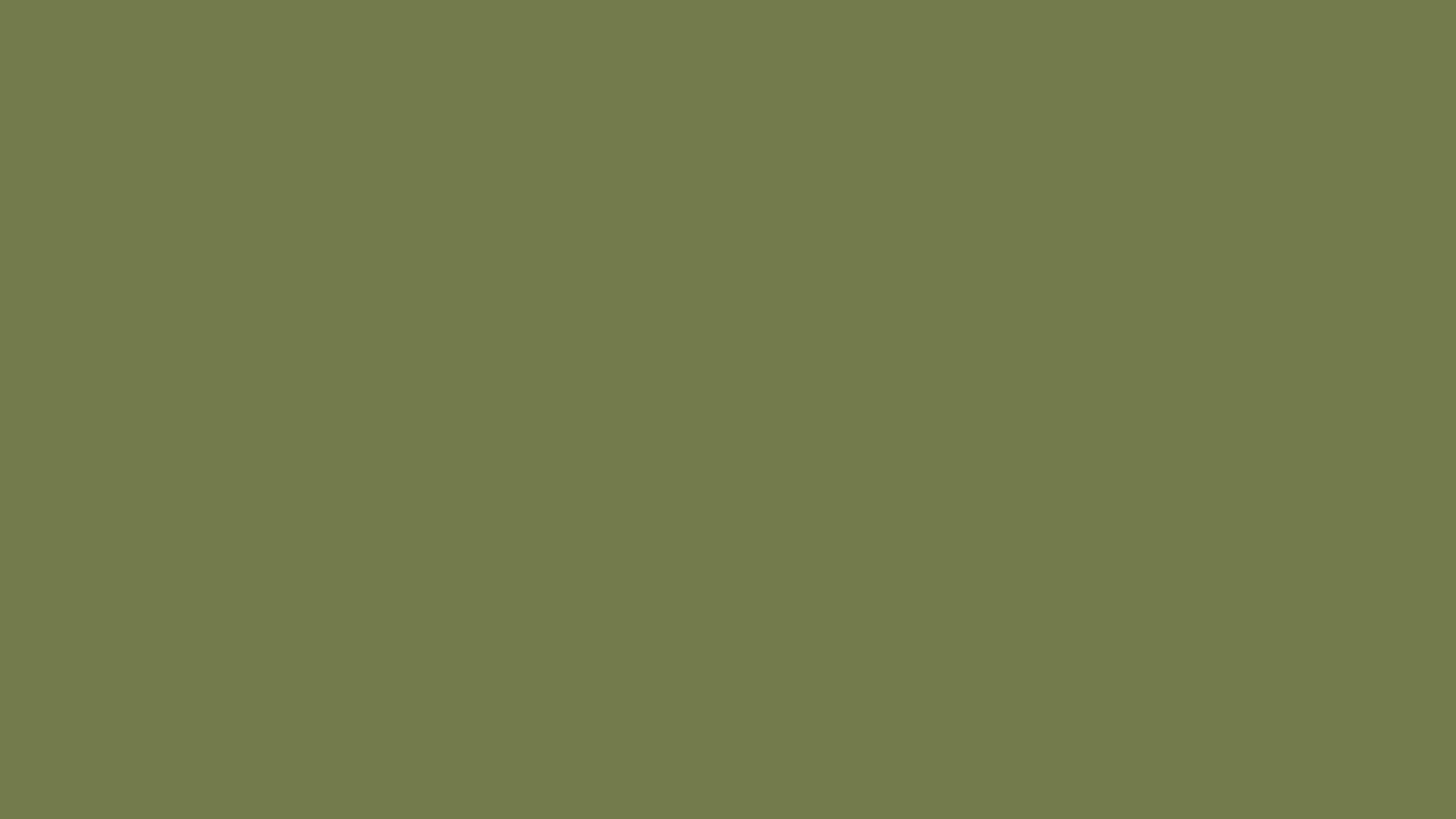 Pantone 5763 C Color | Hex color Code #737b4c information | Hsl | Rgb ...