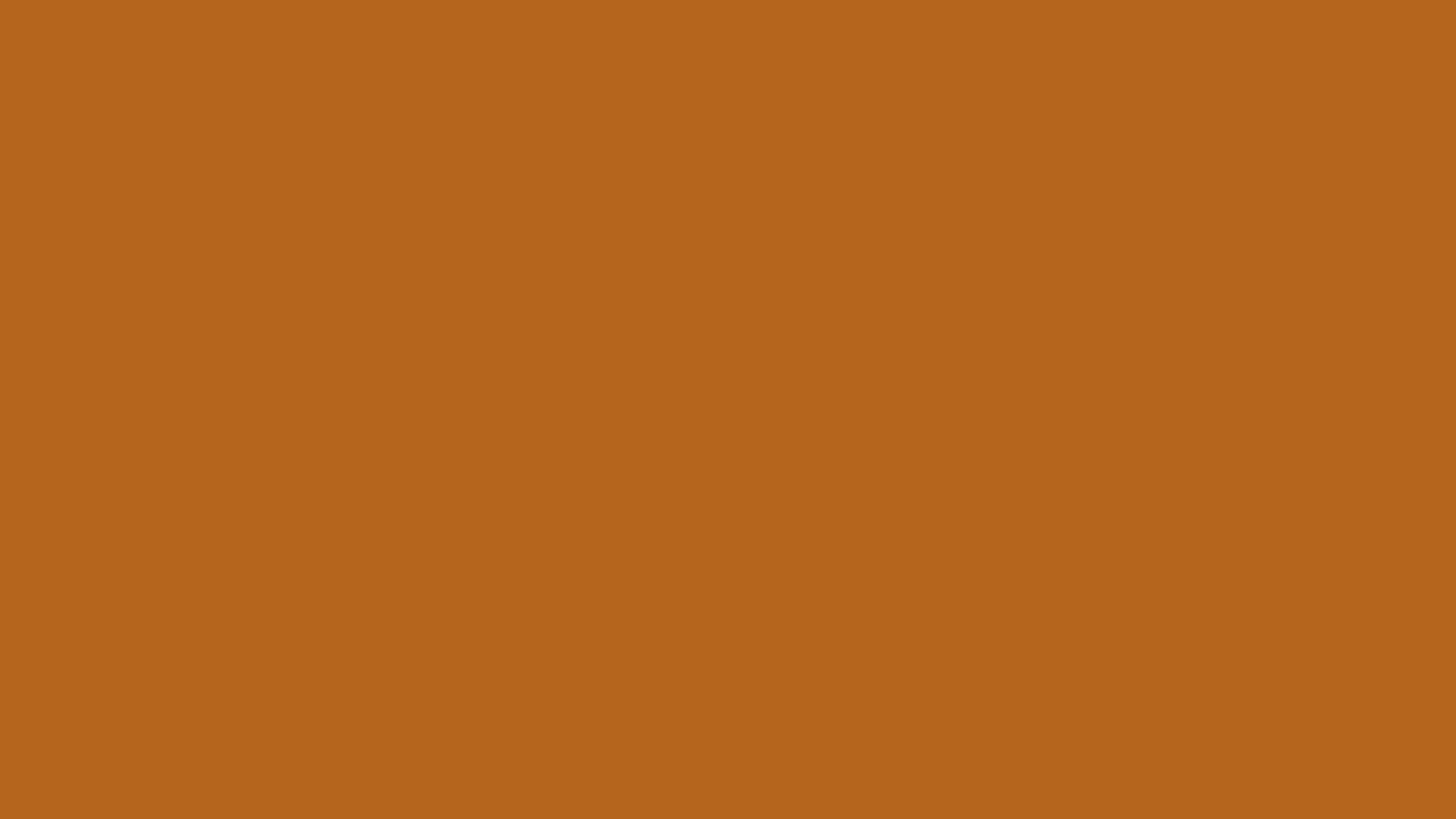 Light Brown Color | b5651d information | Hsl | Rgb | Pantone
