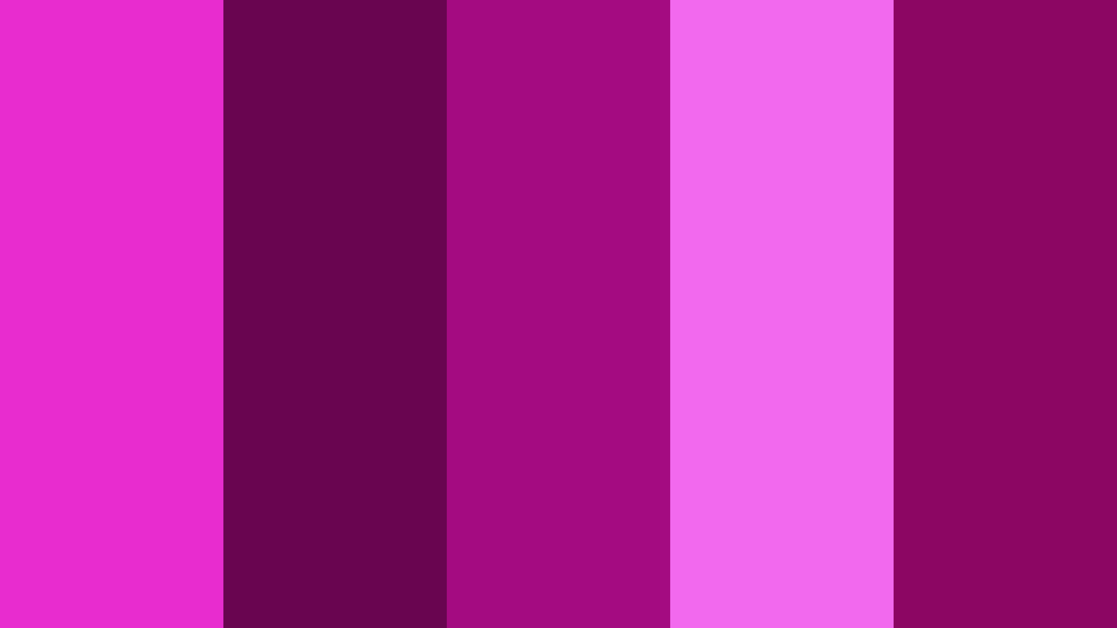 Shocking Pink – Tyrian Purple – Jazzberry Jam – Lavender Magenta ...