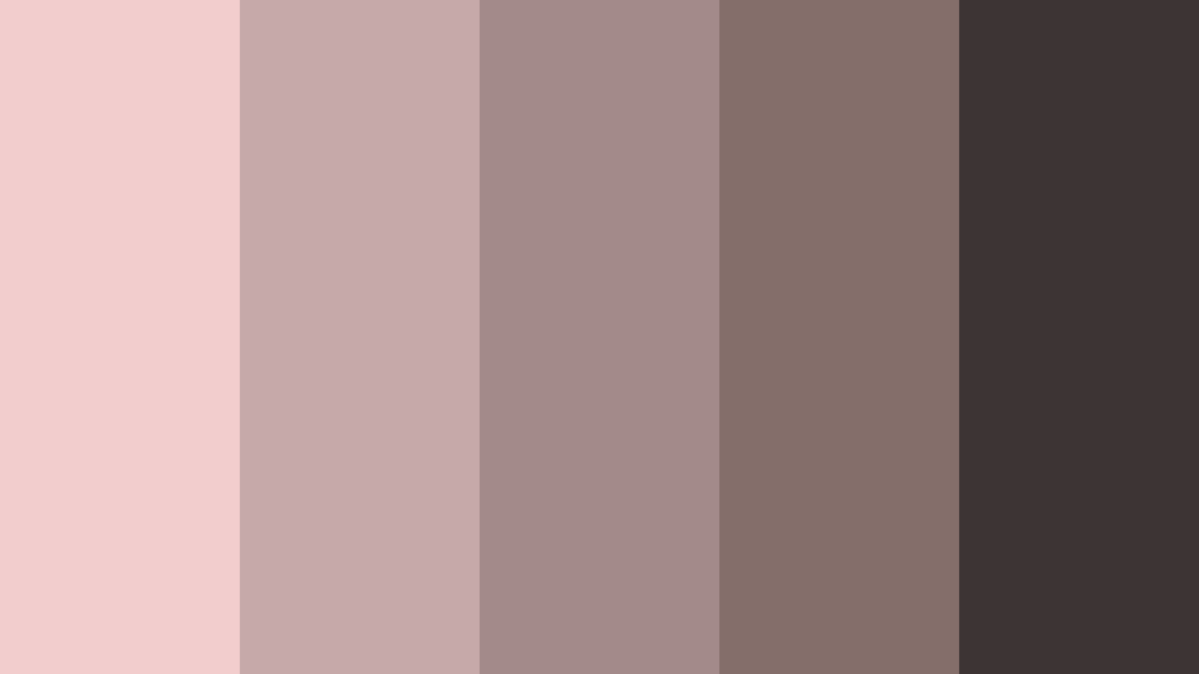 Beauty Bush – Cold Turkey – Pharlap – Americano – Masala Color scheme ...