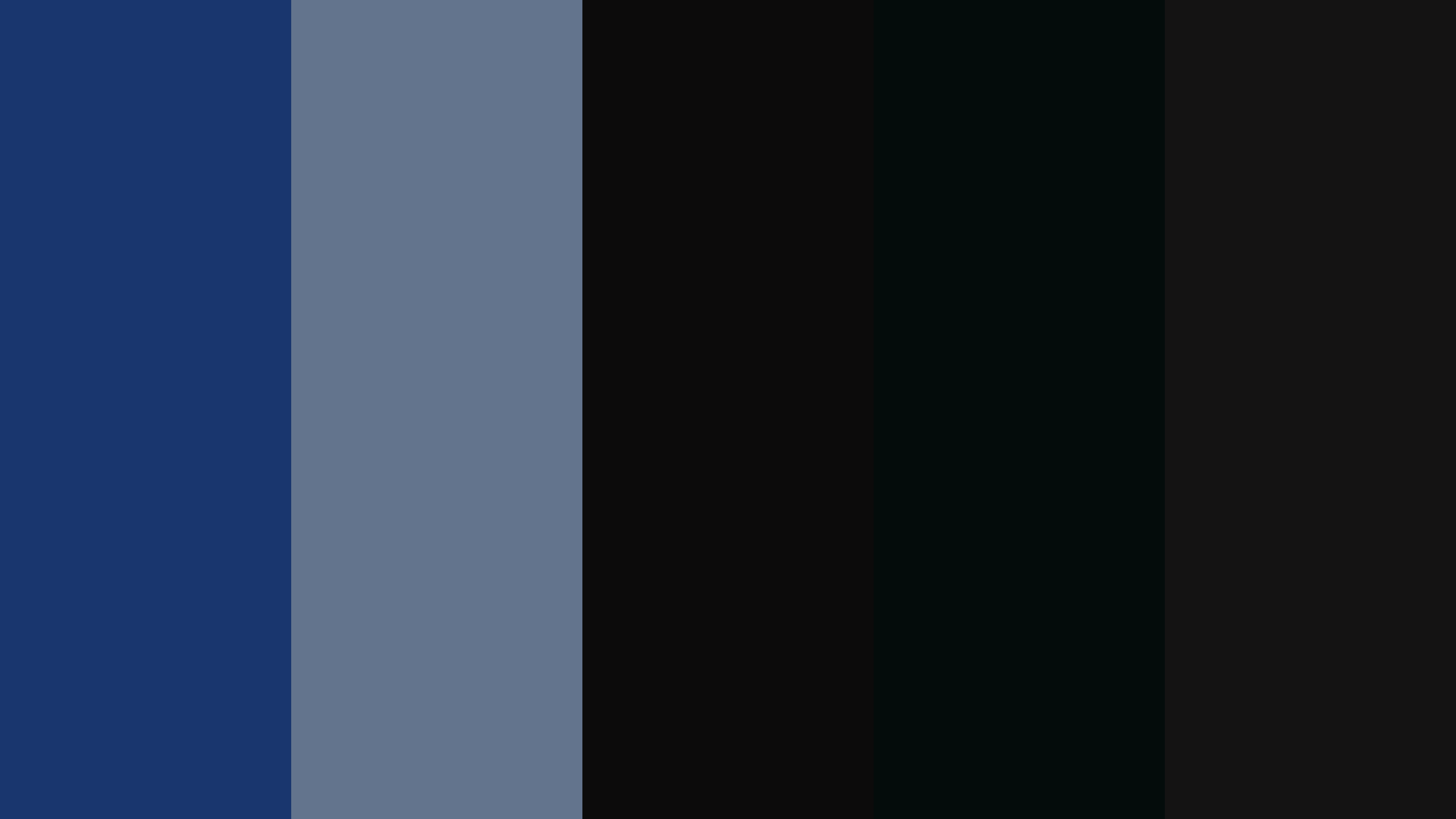 Biscay – Lynch – Cod Gray – Black Bean – Cod Gray Color scheme ...