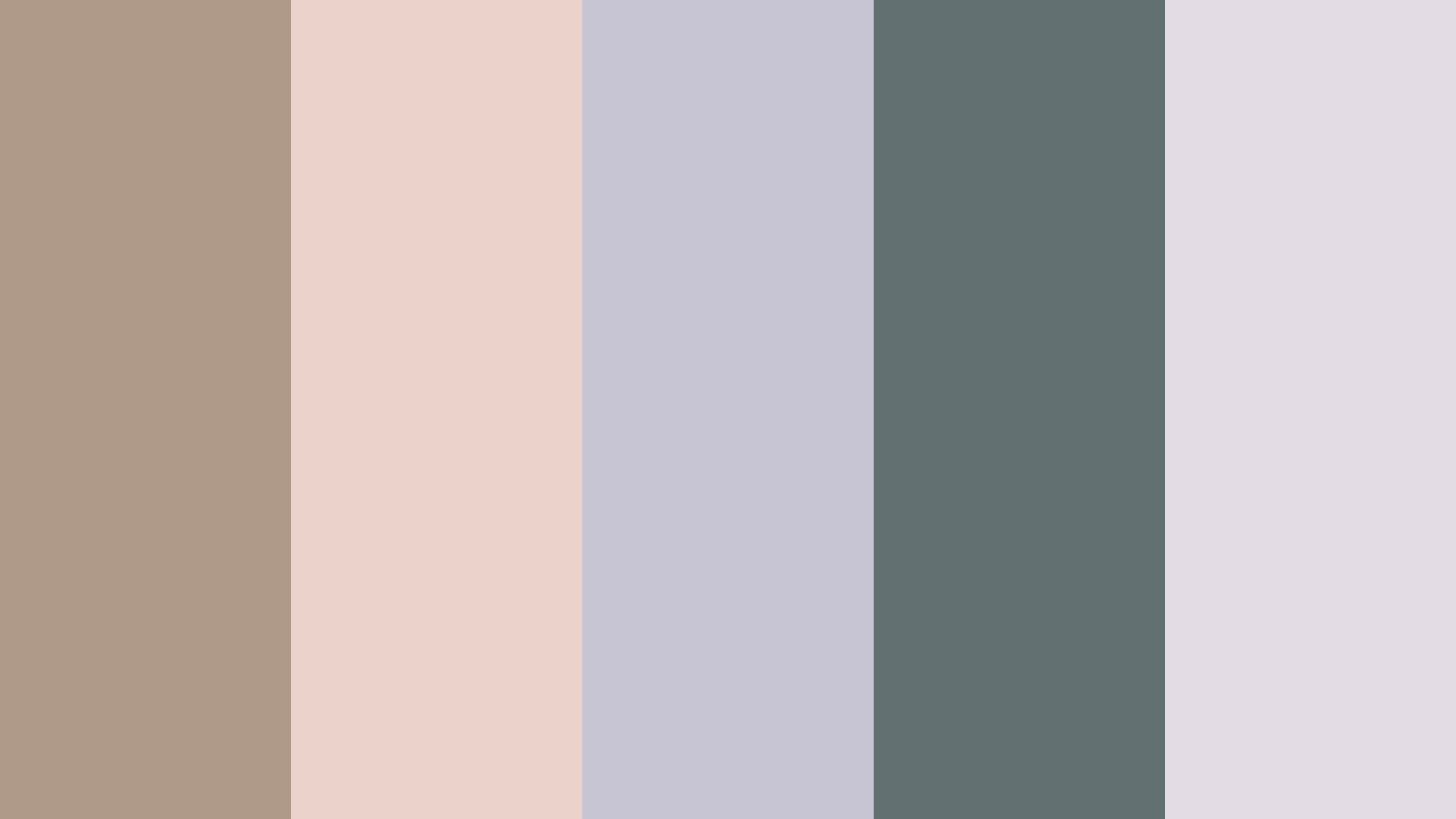 Del Rio – Oyster Pink – Gray Suit – Nevada – Lola Color scheme ...